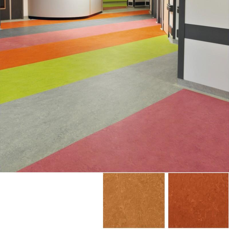 BEIGE AND RED LINOLEUM FLOOR ROLL Manufacturer & Supplier ...